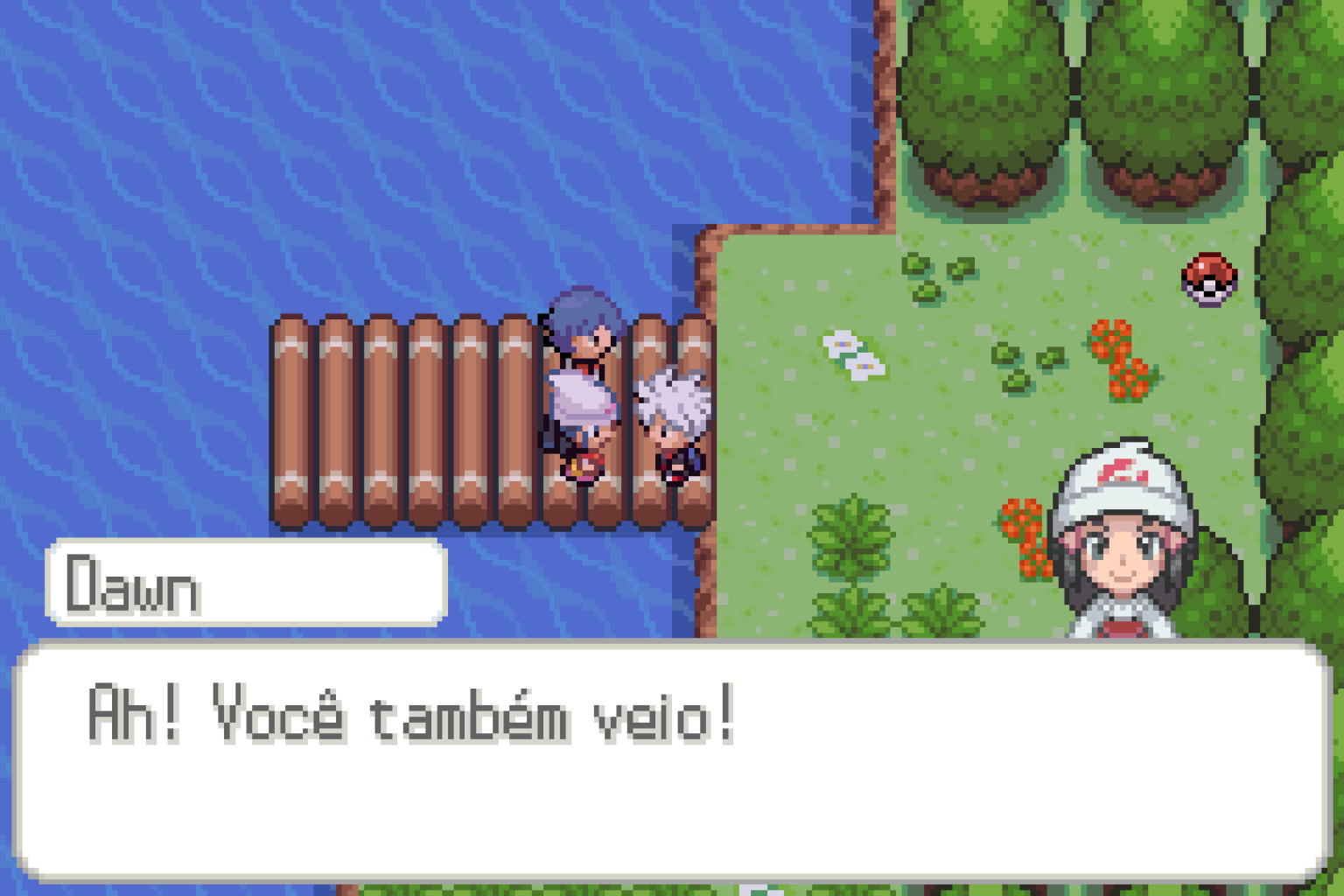 Pokemon Dark Worship 2 Main Characters
